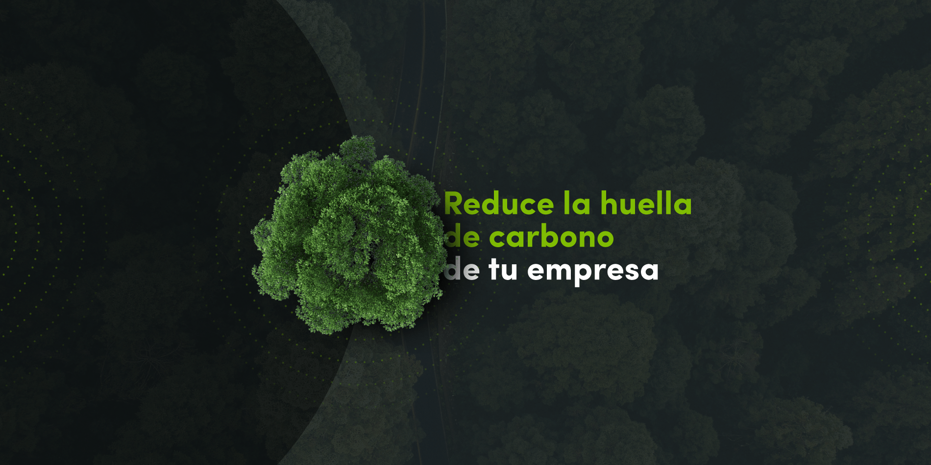 Cómo reducir la huella de carbono - Portafolio Verde R